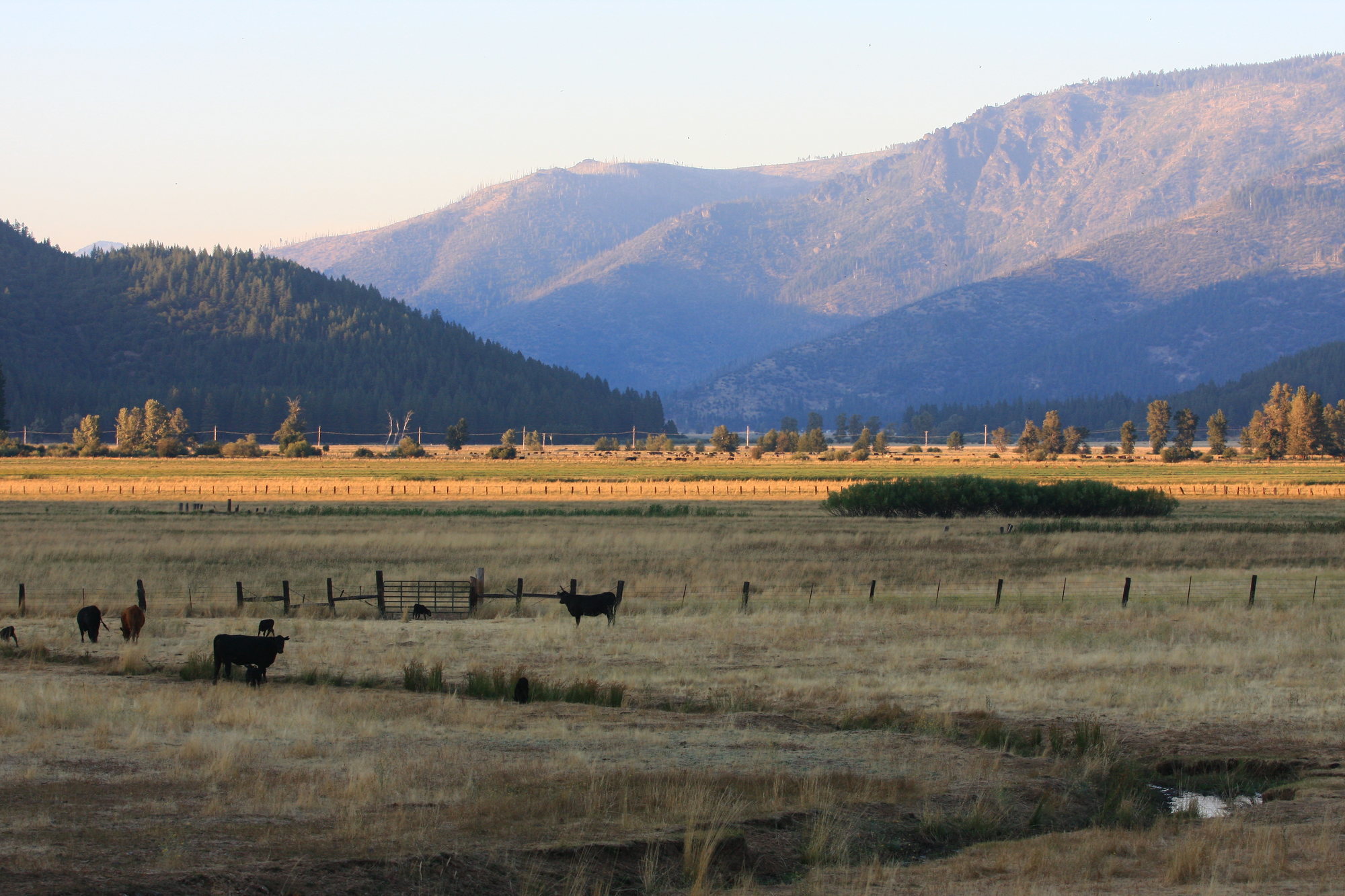 Very scenic pastoral country on the drive to this area - Taylorsville, CA.