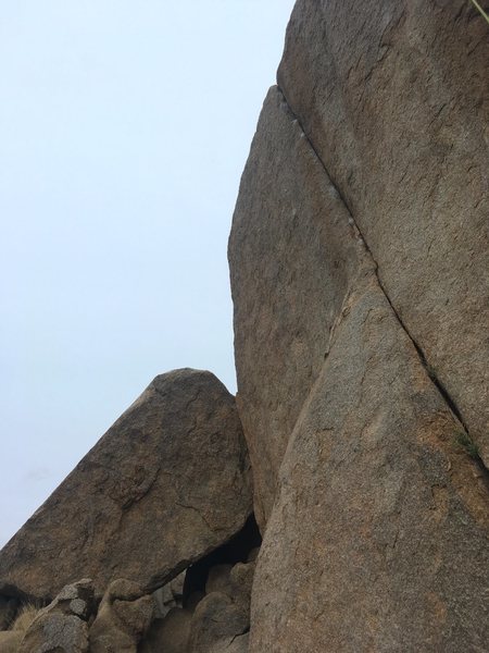 Rock Climb Rossetti Rose, Central Arizona