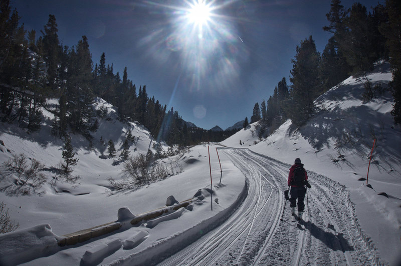 Sara Susca skinning towards Mosquito Flat in winter.