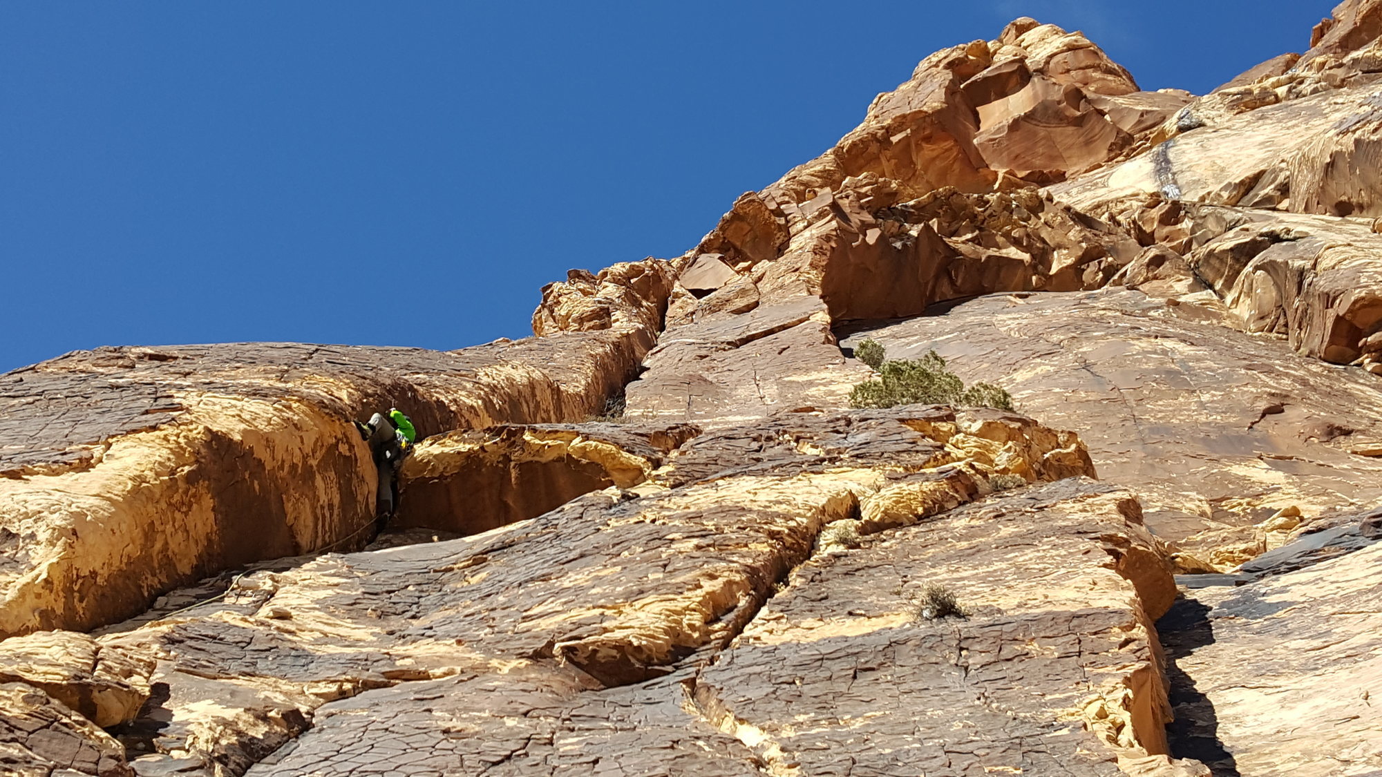 Jubilant Song Pitch 1