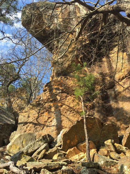 Rock Climbing in Bullet Rock, River Valley and Ouachitas Region