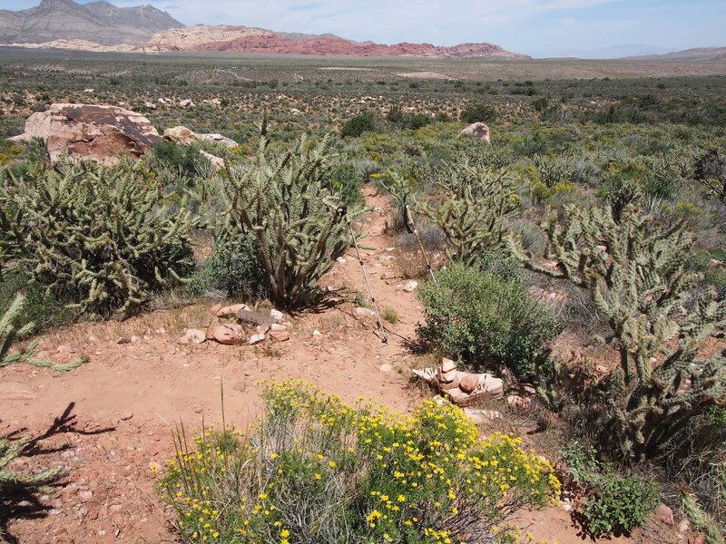 On hike back- this is the correct Cut-off path directly to stream and ...