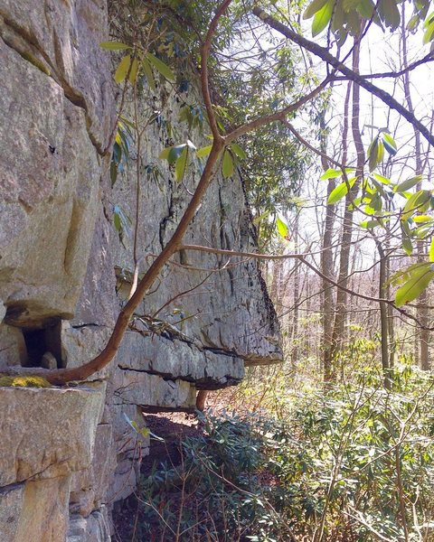 Bouldering in Quebec Run Wild Area, Southwestern Highlands