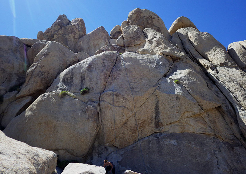 Rock Climbing in Junk Clump - North Face, Joshua Tree National Park
