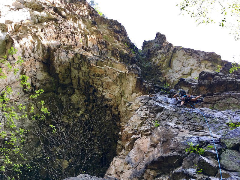 A dripping wet first pitch of Simple J Malarky