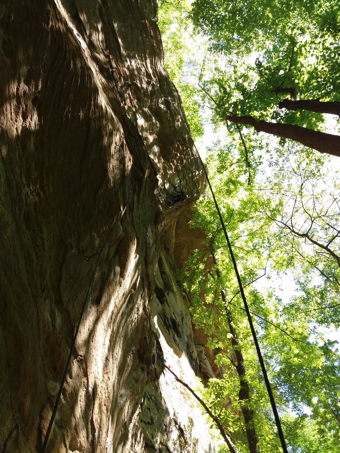 Beautiful area of PMRP