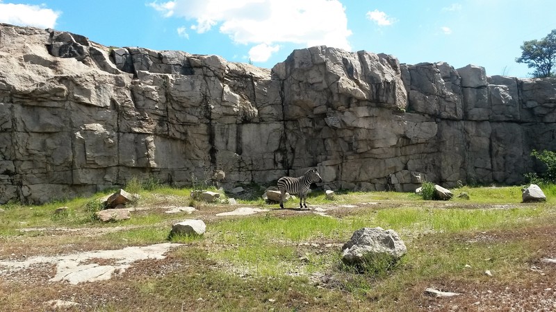 Rock Climbing in Cleveland Quarry, Cleveland Quarry