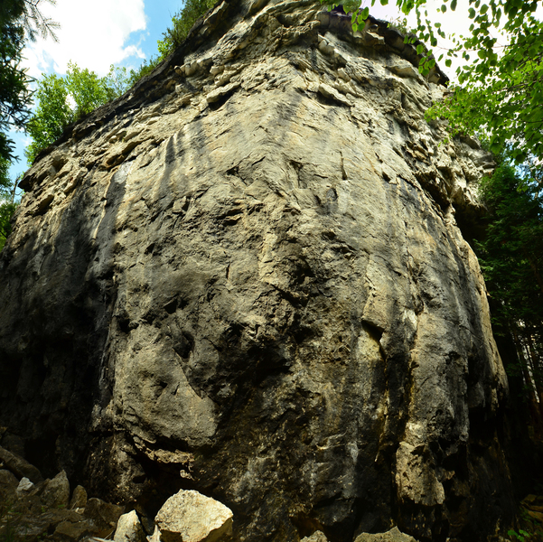 Rock Climbing in The Swamp, Ontario
