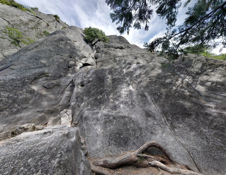 Pin scar seams start on the right and work up towards the center. Kind ...