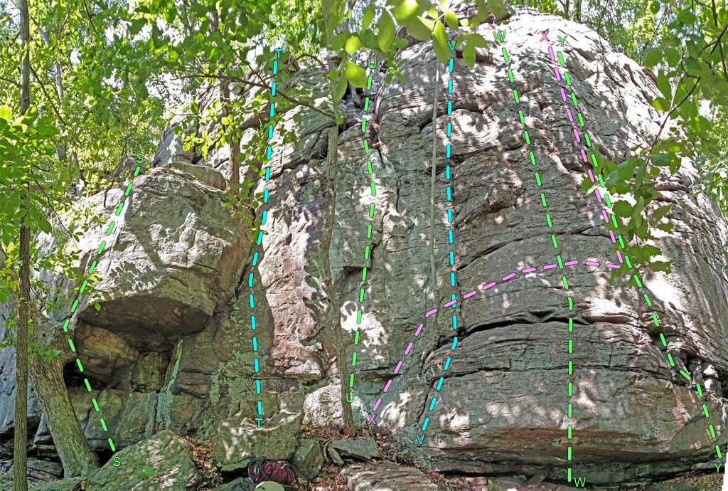 Crazy Tree: right of the Tree S. Crazy Tree Flop T. Grover's Puzzle U ...