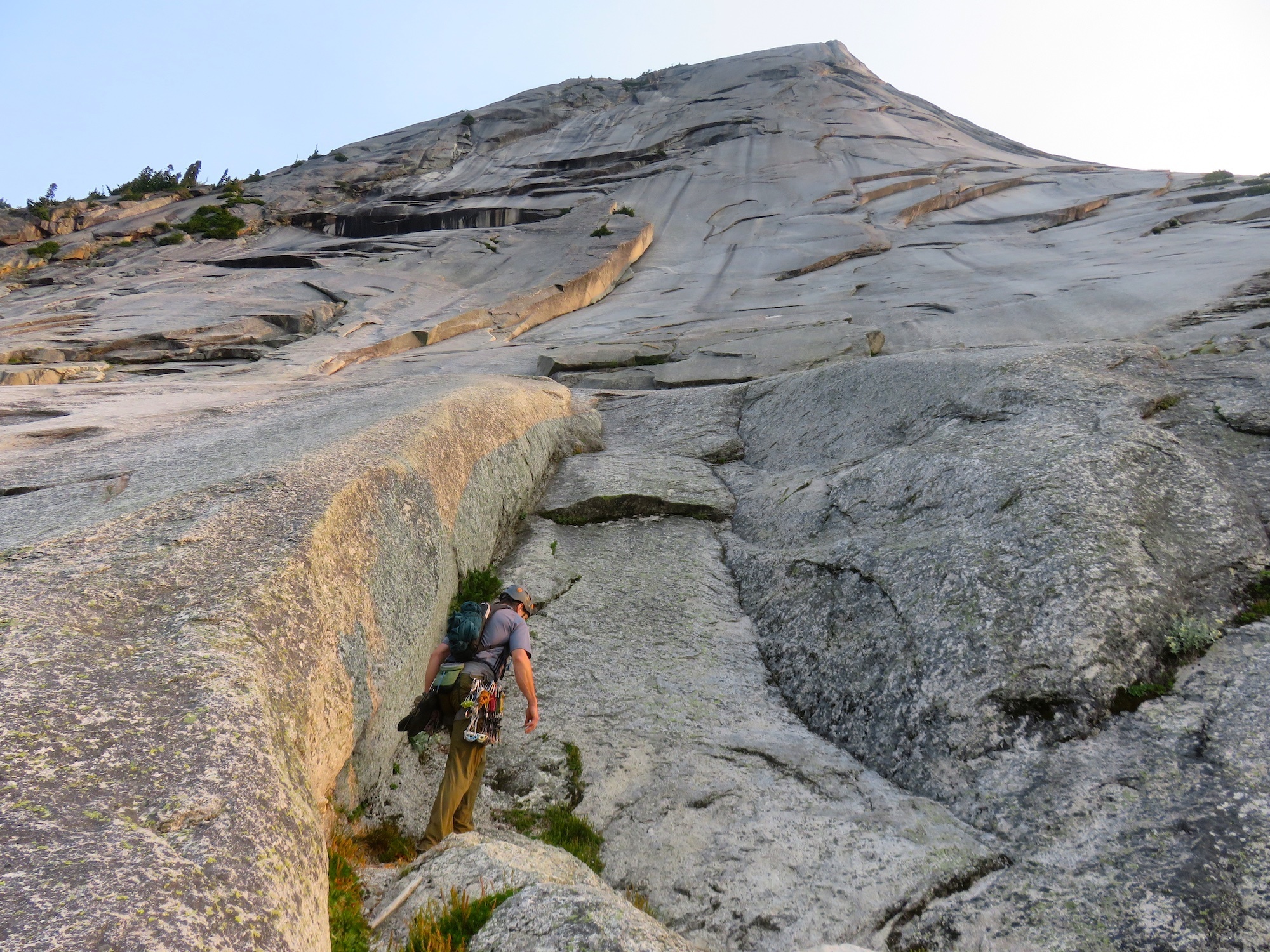 Looking up Yak-Check from base.