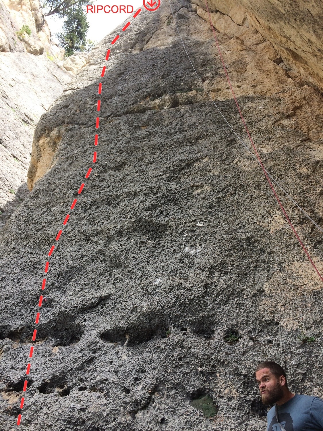 Anal Bead Ripcord + Clay