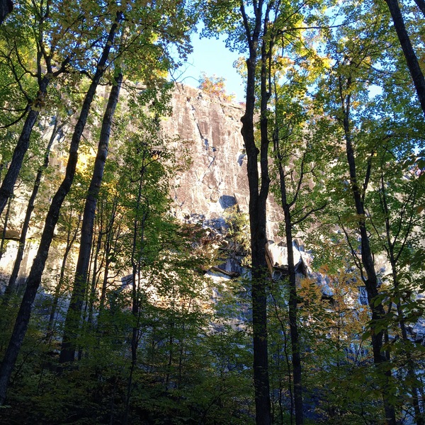 Early morning shot of Silver Mtn from amidst the forest. "Best Seat In ...