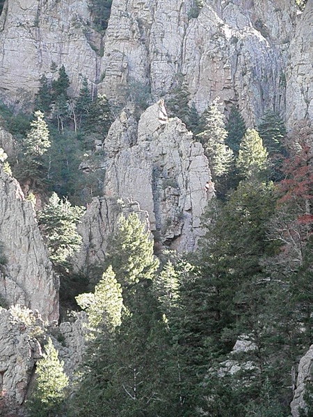 Rock Climbing in Estrellita, Sandia Mountains