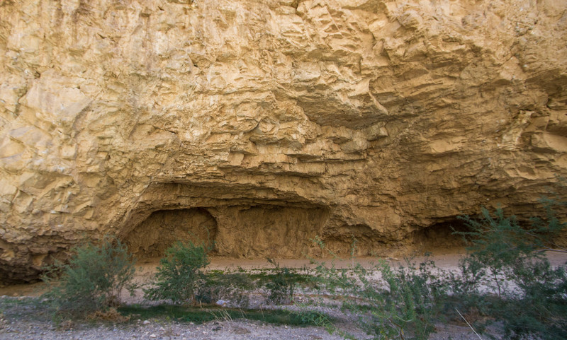 Rock Climbing in Swamp Cave, Southern Nevada