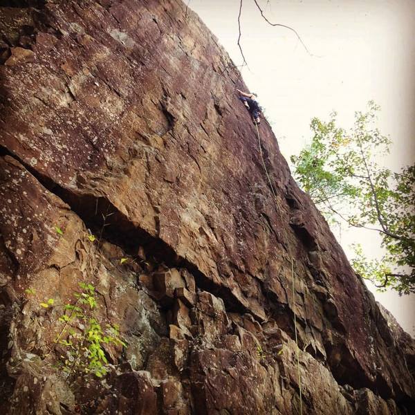 Rock Climb Firecracker (New), Central Valley