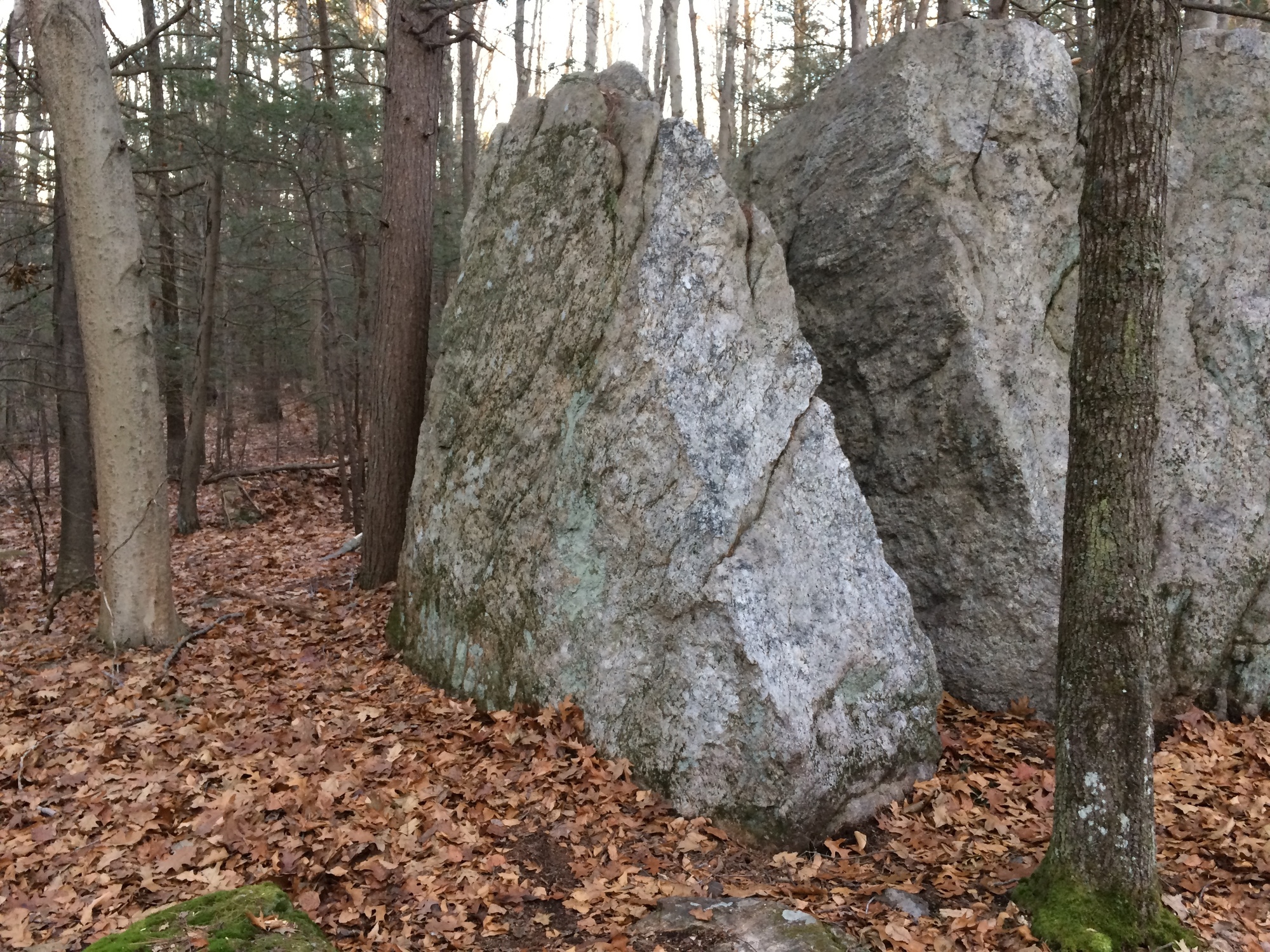 The opposite side of the split face