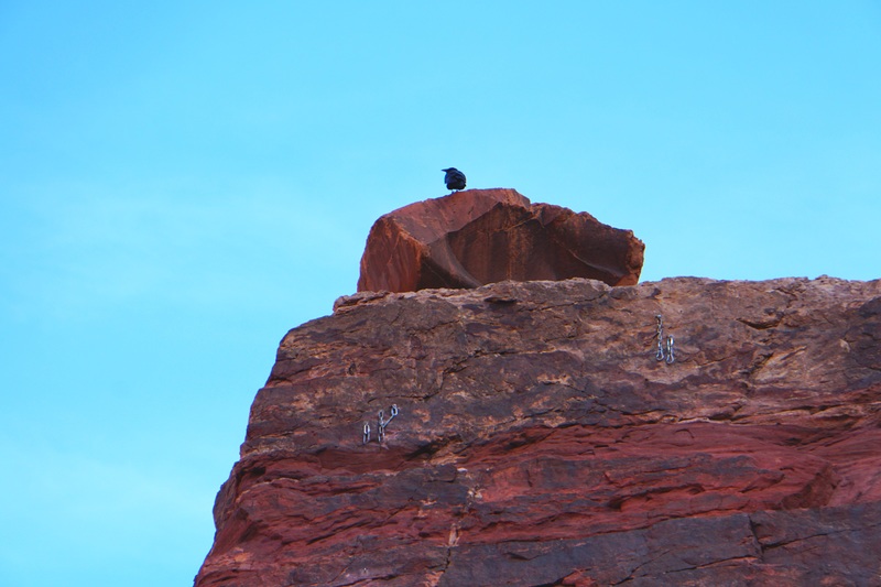 Rock Climb True Grit, Southeast Utah