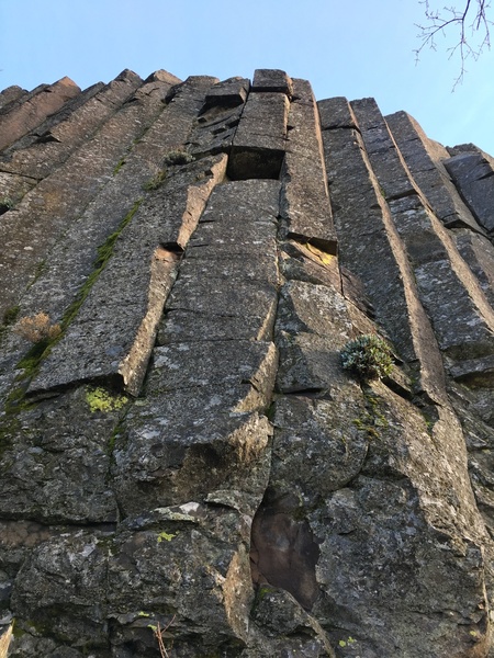 Rock Climb Mouse in a Microwave, South-West & Tacoma