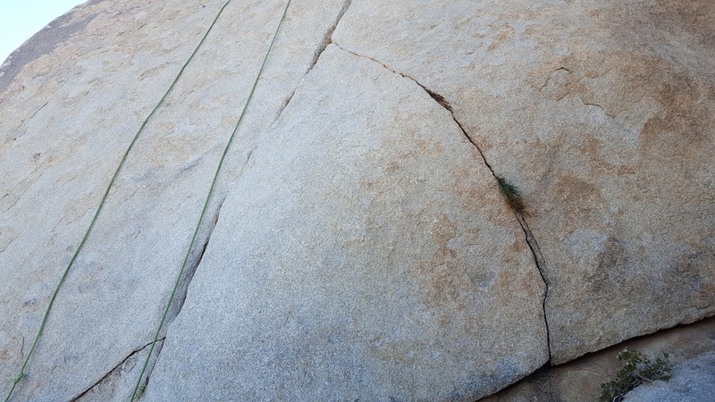 Rock Climb Bush Crack, Joshua Tree National Park