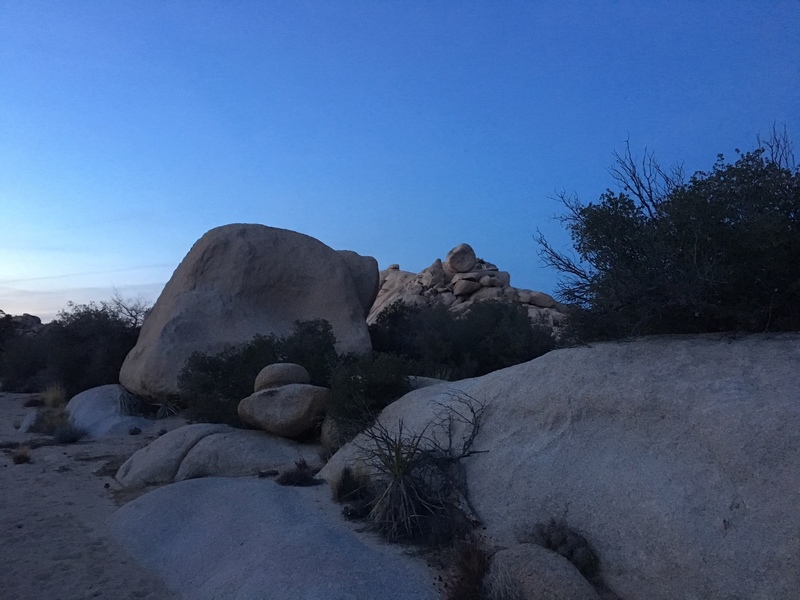 Rock Climbing in Elephant Arches, Joshua Tree National Park