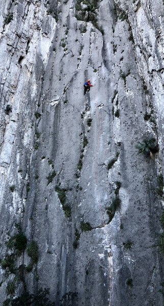 Rock Climbing in La Fortaleza Escondida, Mexico