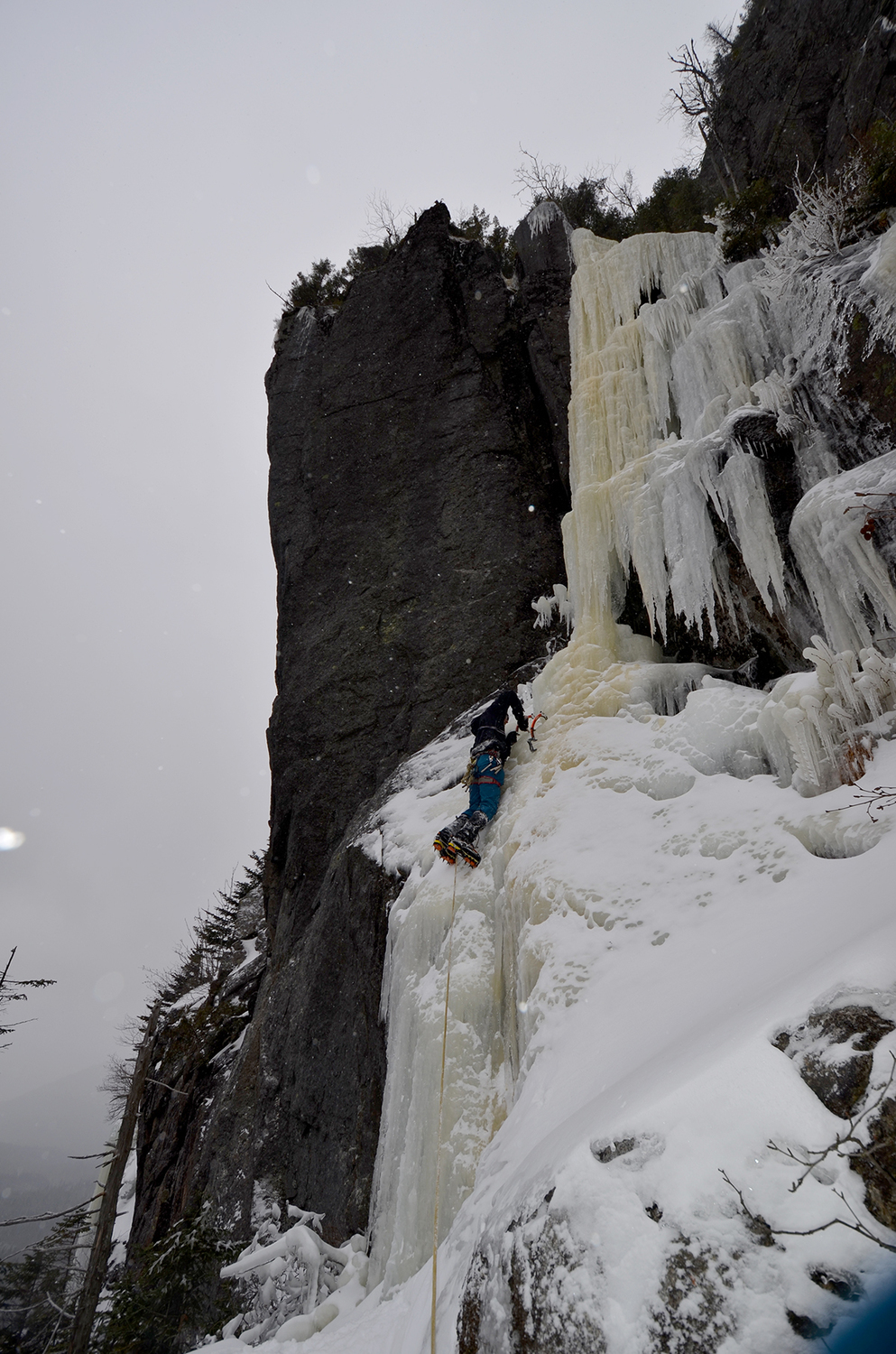 MudRat leading the pitch. Photo by Jaryn DeShane. Note that the left ...