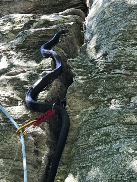 Rock Climbing in Moore's Wall (Routes), Moore's Wall