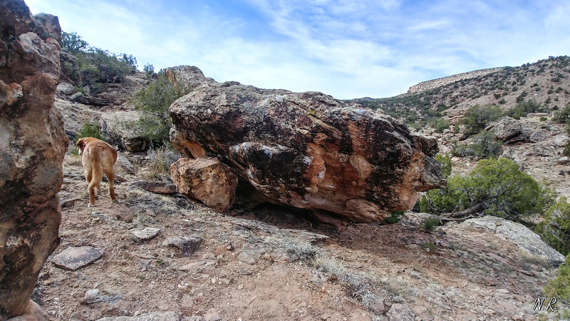 Climbing in Goldilocks Boulder, Grand Junction Area