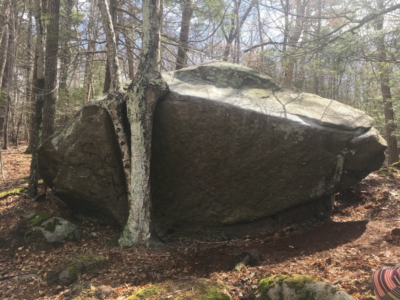Climbing in Meet-Up Boulder, North Shore