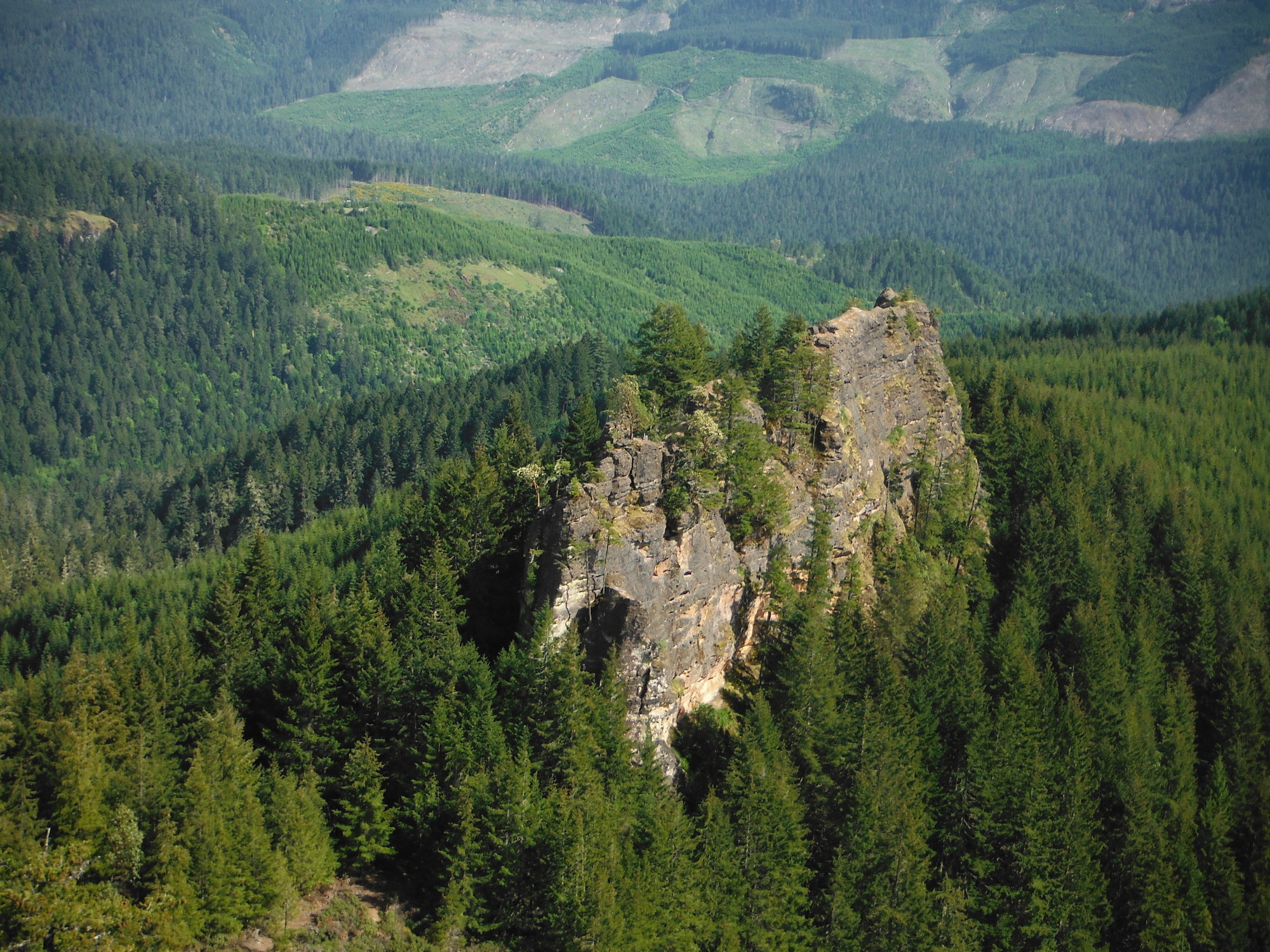Photo of the South Comb before logging