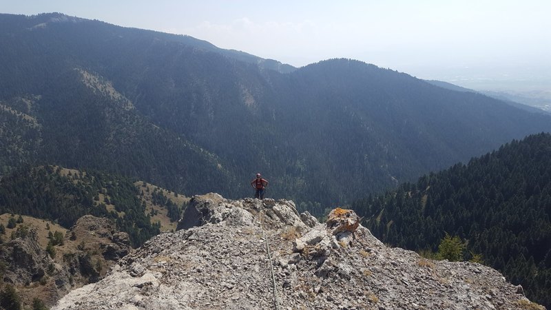 Matt topping out.
