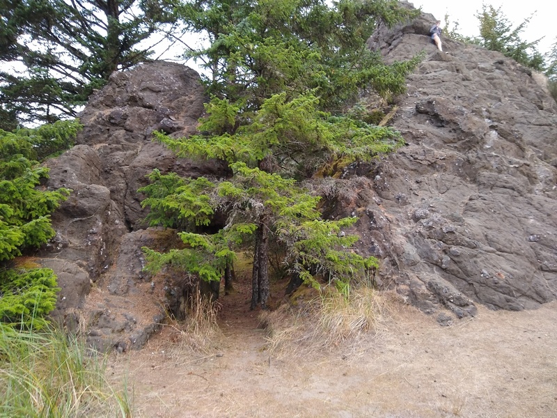 Bouldering in Te Fiti, Olympics & Pacific Coast