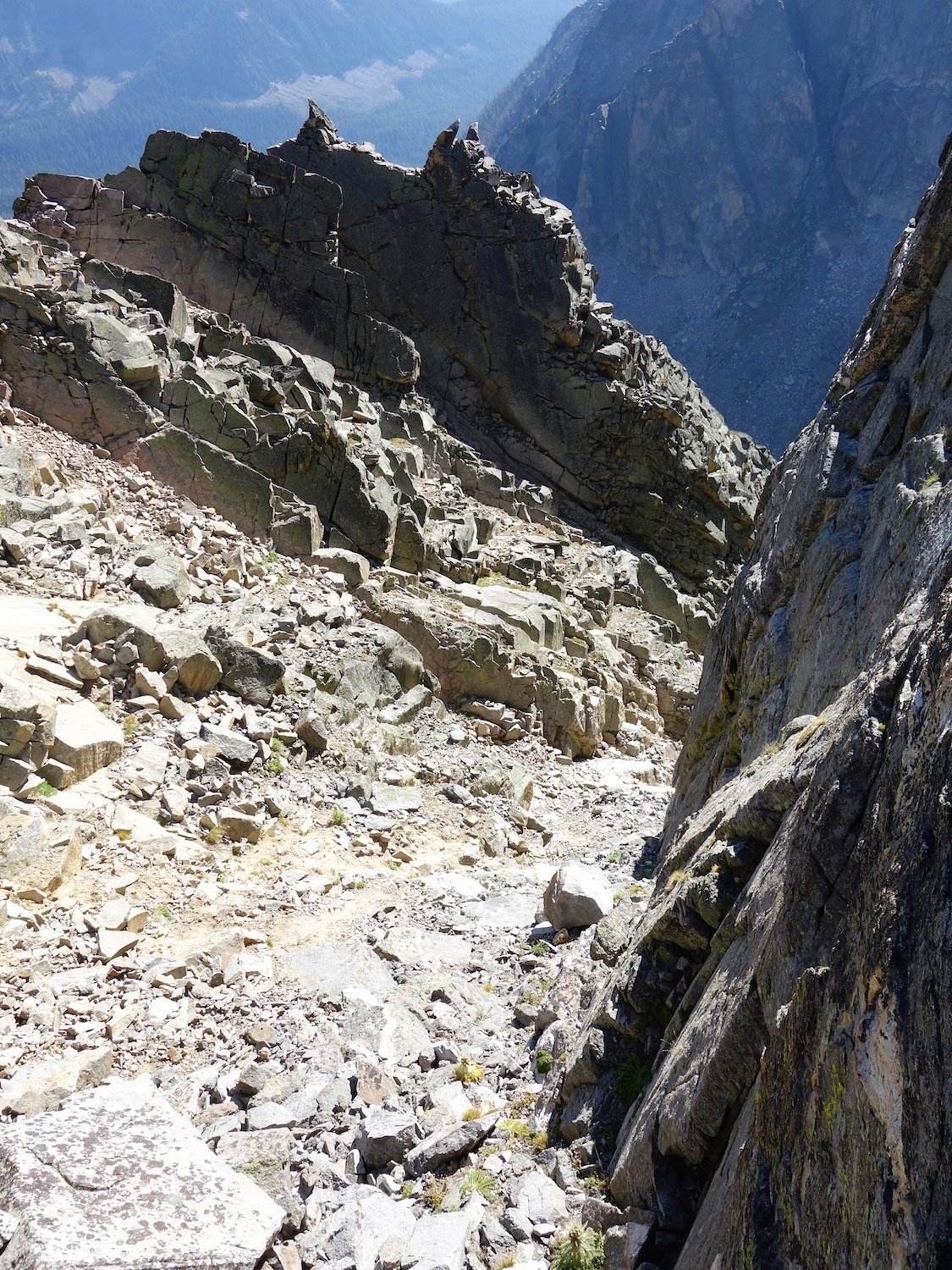 Looking at the west gully option. There are lots of tracks going down ...