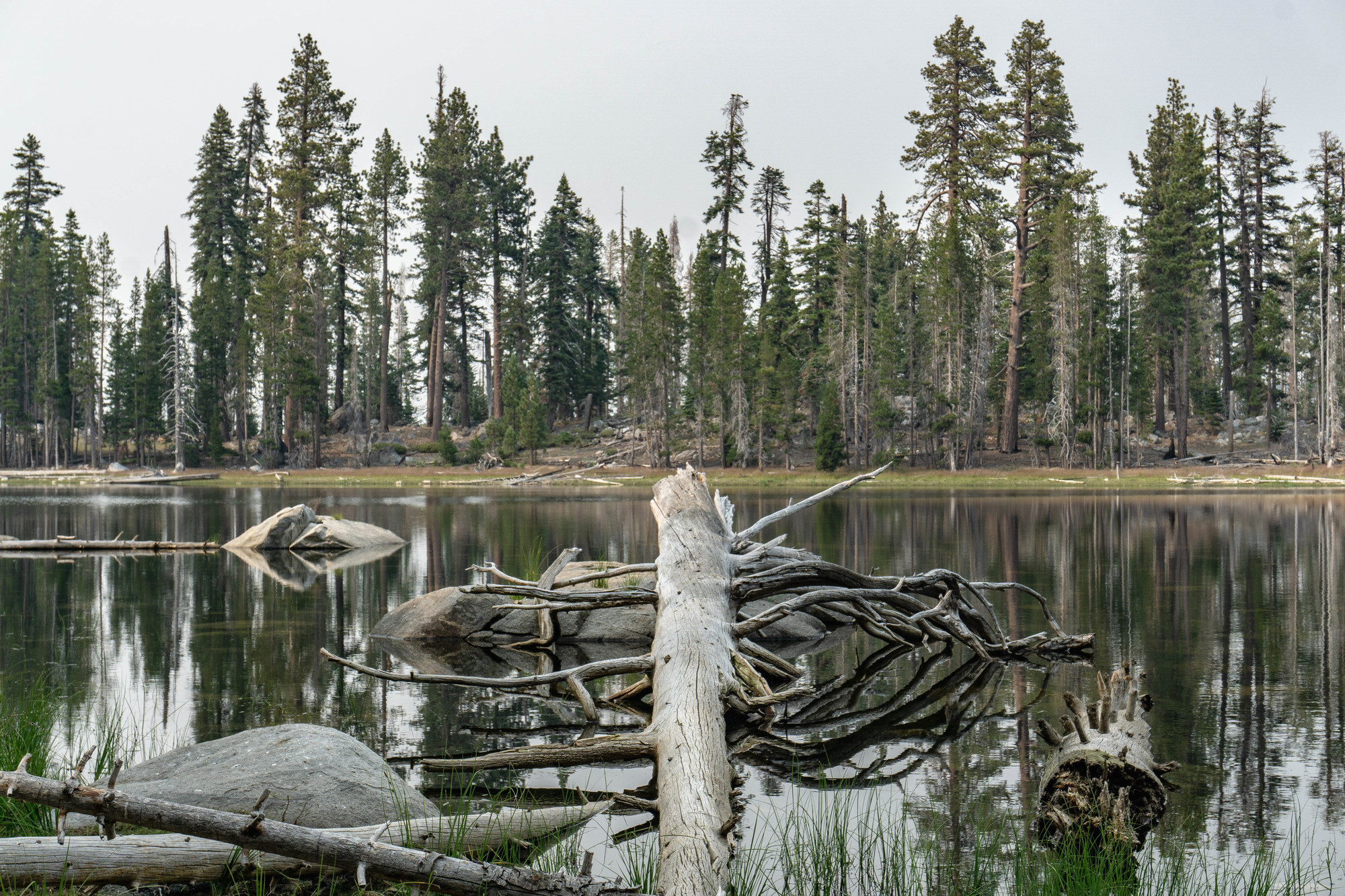 Harding Lake. Everytime I pass this lake I imagine Warren Harding ...