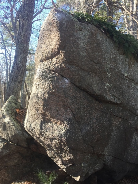 Climbing in Hillside Boulders, North Shore