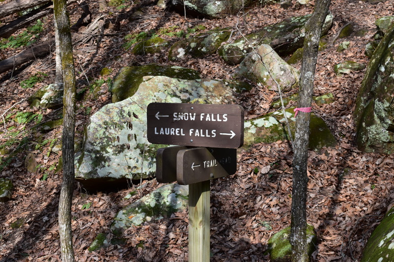 The split in the trail.
