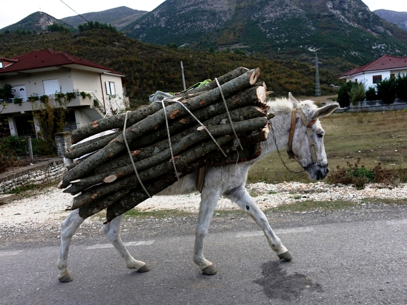 Climbing in Petran, Petran