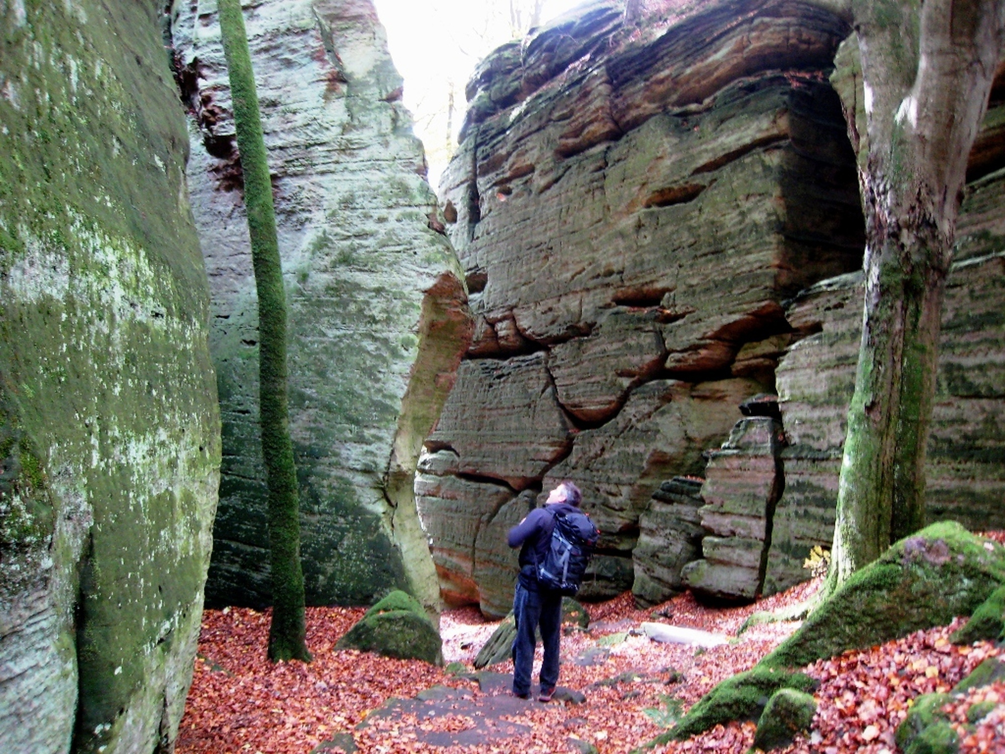 Wandering around Luxembourg's Berdorf