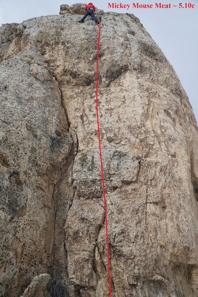 Rock Climb Mickey Mouse Meat, Sinks Canyon