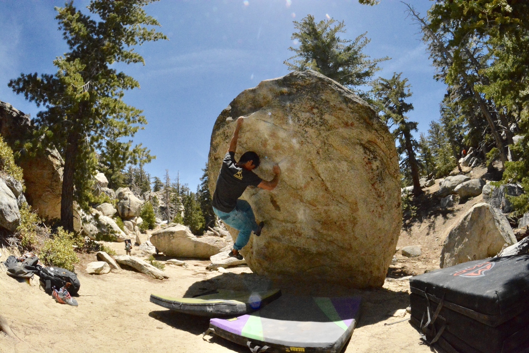Sticking the dyno on "Paul Rocks" (V4)