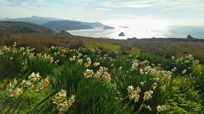 Jenner Headlands Preserve, Wine Country Photo by Jon Northrup