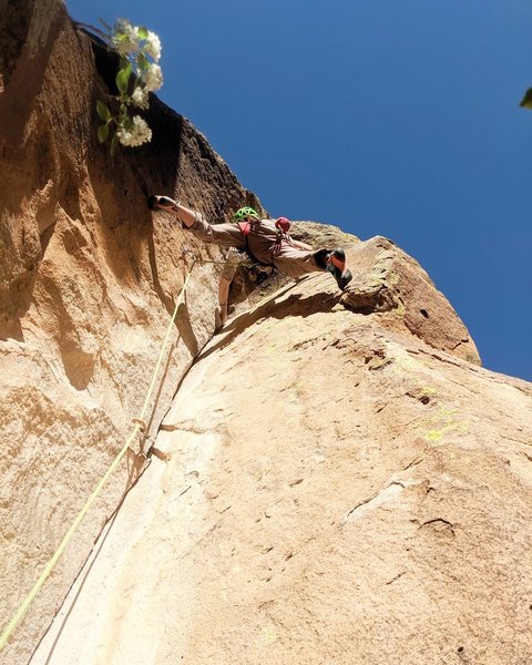 Rock Climb Show Her Your Stem, San Luis Valley