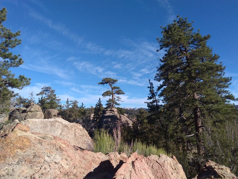 The view from the base of Coyote Crag, Holcomb Valley Pinnacles