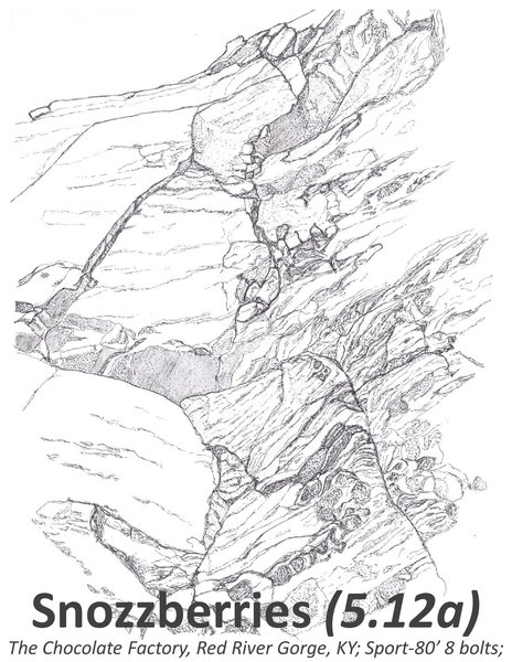 Snozzberries by @drawingsfordirtbags