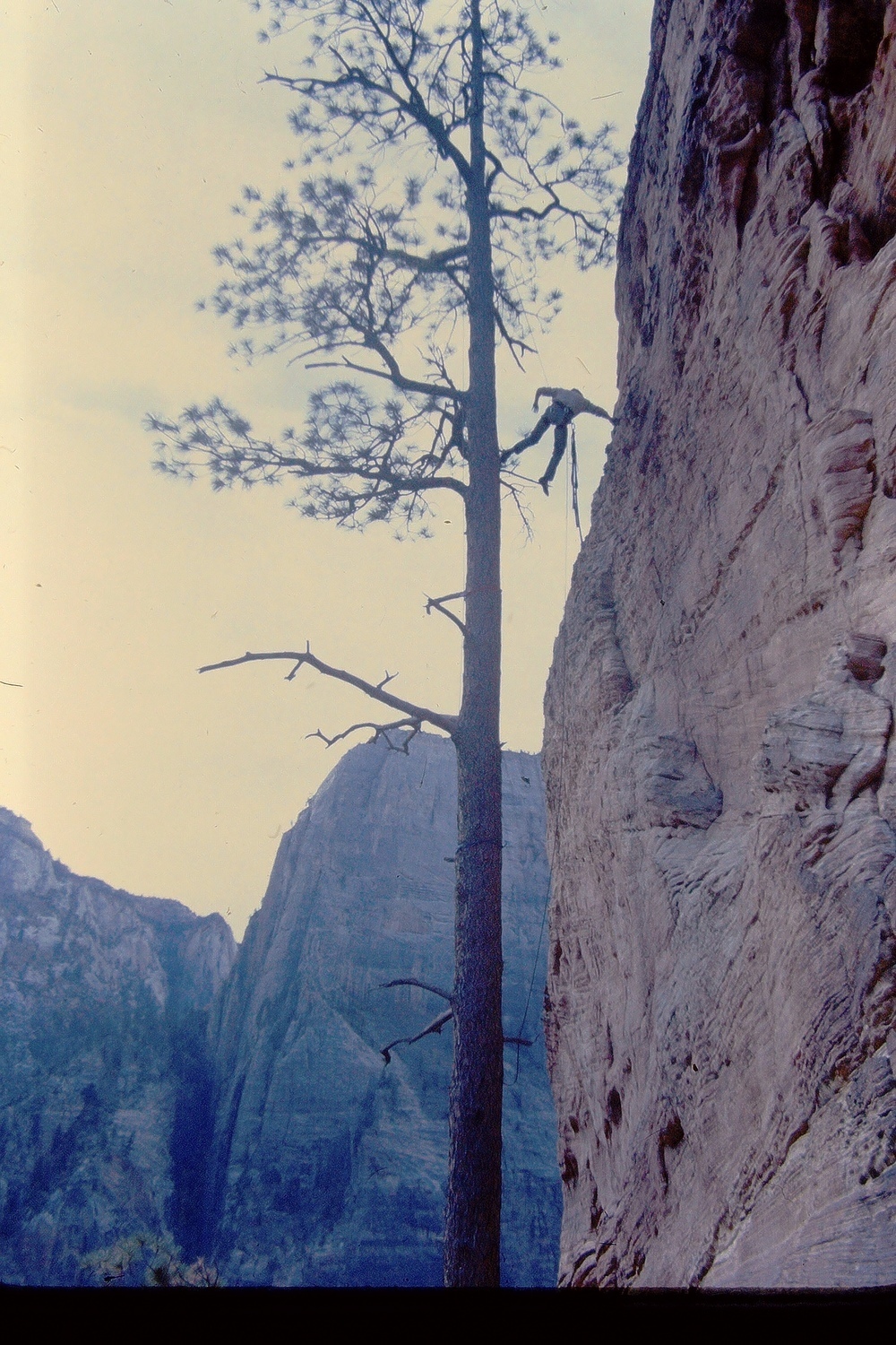 The original "T4" pitch, from the Les Ellison archives.