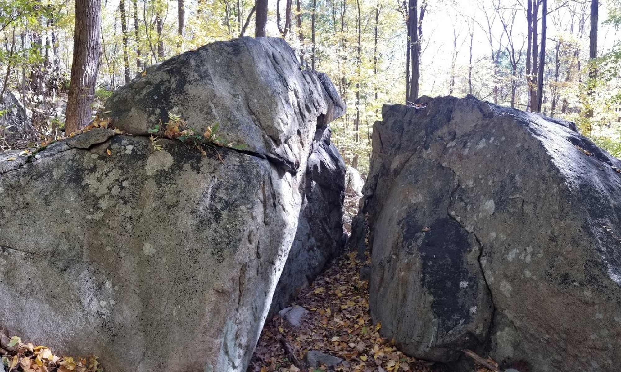 Cracked boulder, Crack Epidemic is on the left face inbetween the ...