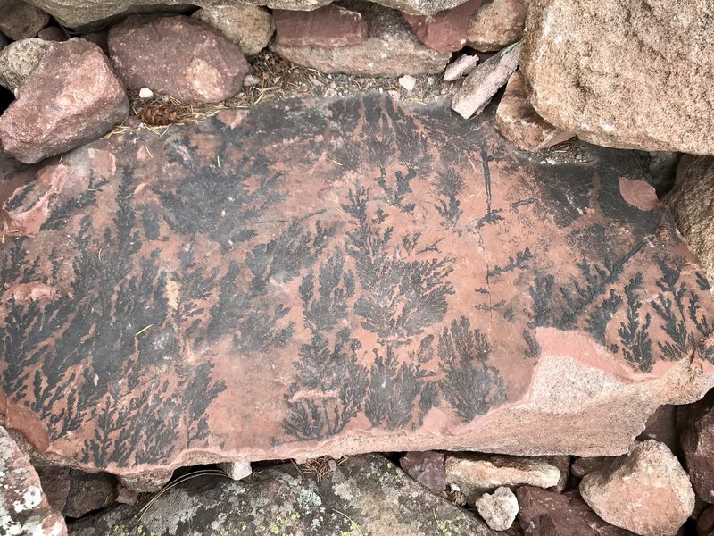 The coolest treadstone ever (on the descent trail).