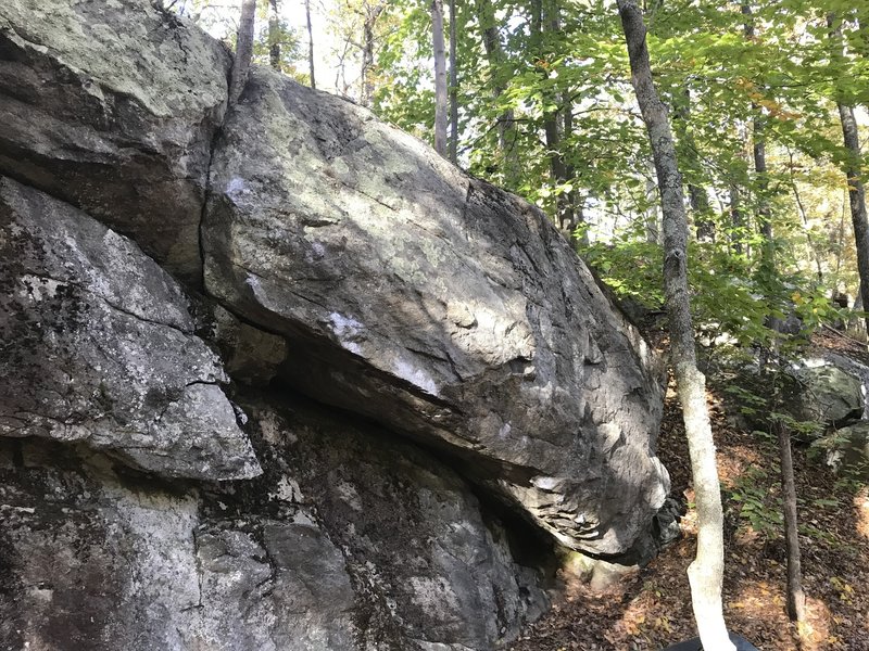 Climb Swamp Thang, Lincoln Woods