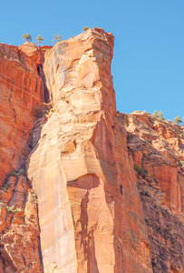 Rock Climb The Moonlight Buttress (Clean Aid), Zion National Park